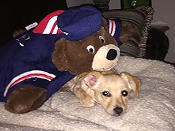 Amazon.com : NFL Pillow Pet : Sports & Outdoors
