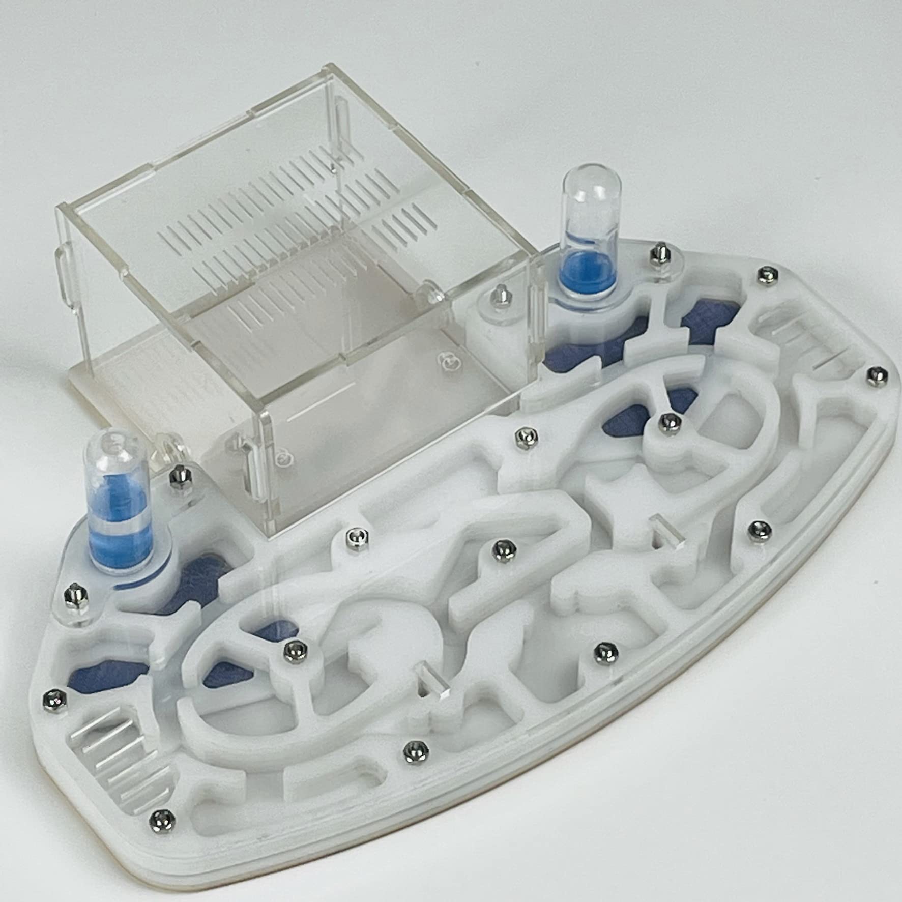 Mua Large Size 24 x 18 cm Arylic Ant Nest, Ant Farm, Ant Habitat ...