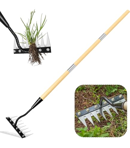 Soil Cultivation Tool Iron Weeding Rake With 6 Teeth - Detachable ...