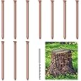 Amazon.com: UNIFAMILY 10Pcs Copper Nails for Killing Trees Stump Root ...