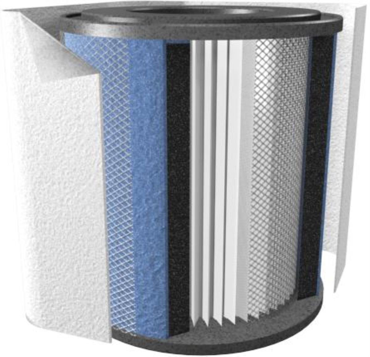 Austin Air Healthmate Replacement Filter, White – Zeolite, HEPA Air ...