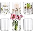 Amazon.com: Small Glass Cylinder Vases for Centerpieces, Hewory 6pcs ...
