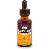 Amazon.com: Herb Pharm Certified Organic Elder Liquid Extract - 1 Ounce ...