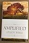 The Amplified Study Bible, Hardcover: Zondervan: 9780310440307: Amazon ...