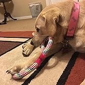 Amazon.com : KLEEGER Dog Toy Set: Durable 10-Pack Puppy Toy Package ...