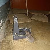 Black Cat Rat Trap:Mouse Catch (Grey,1 Rat Trap): Amazon.in: Garden ...