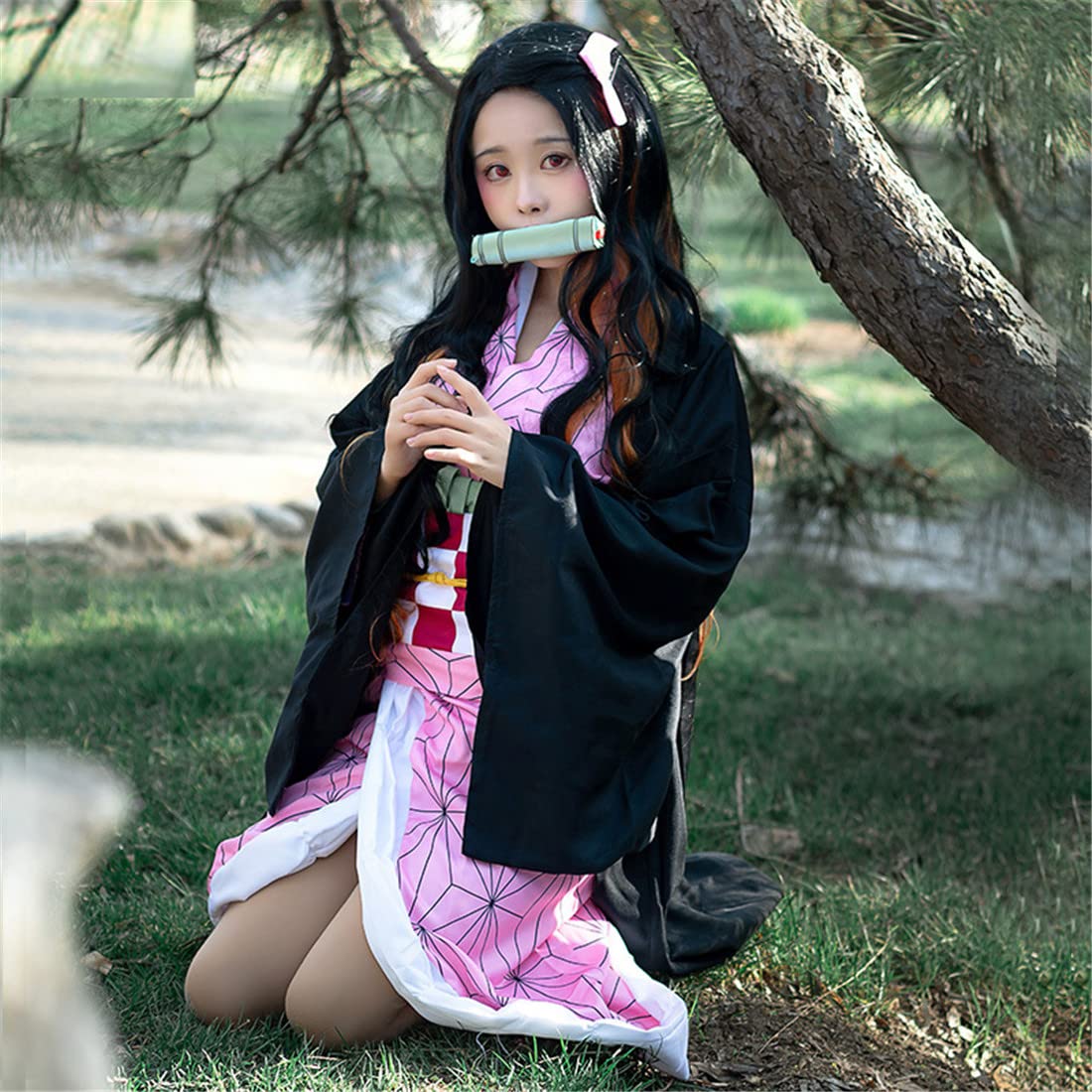 Mua ToouYoor Demon Tanjiro Cosplay Shinobu Giyuu Zenitsu Robe Kimono ...