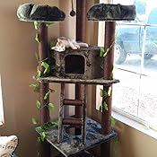 Amazon.com : Kitty Mansions Redwood Cat Tree : Pet Supplies