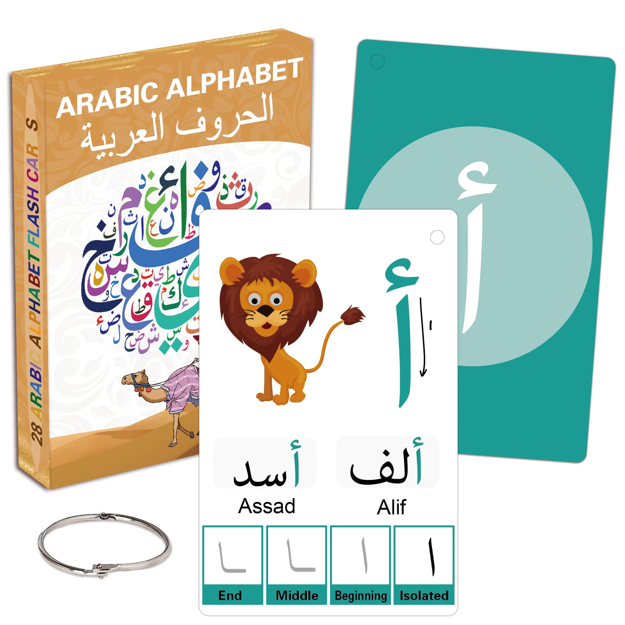 Mua Arabic Flash Cards for Beginners，Learn Arabic Alphabet for Kids ...