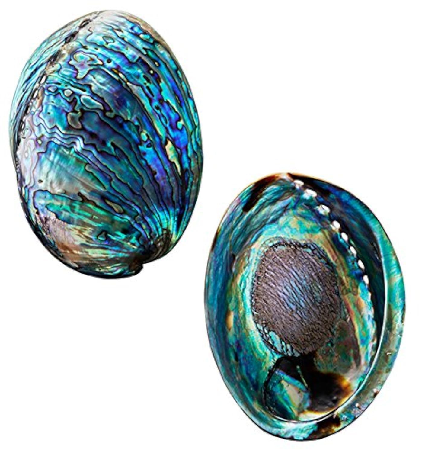 Ocean Shell Studios. shop Kuwait | Buy Ocean Shell Studios. products ...