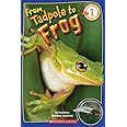 Amazon.com: From Tadpole to Frog (Scholastic Reader, Level 1 ...