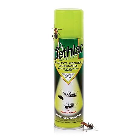 Mua Dethlac Spray | Ant Killer Indoor & Outdoor 250ml Aerosol | Insect ...