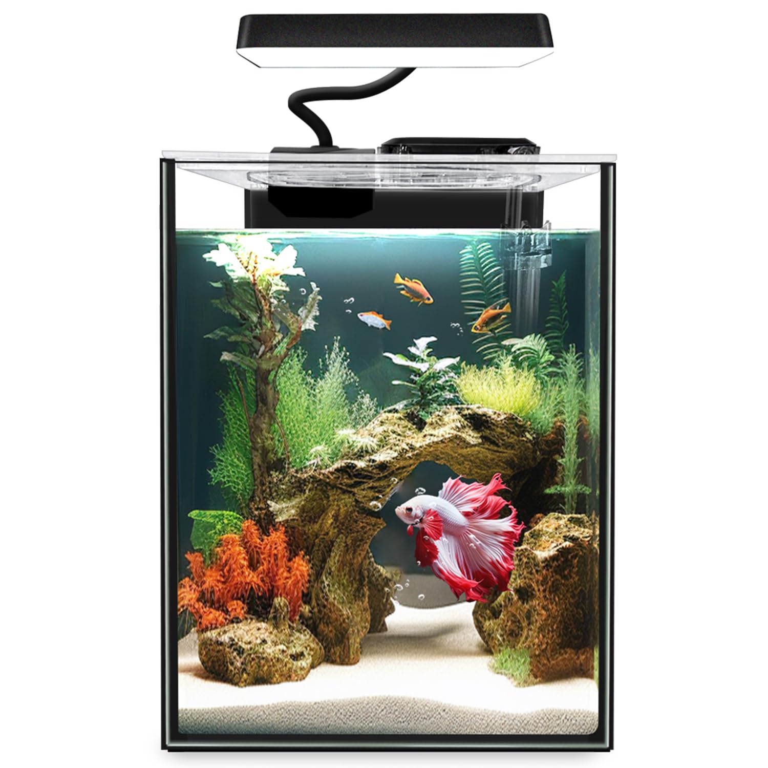 iPriro Glass Betta Aquarium Starter Kits 1.5 Gallon Small Fish Tank ...
