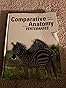 Amazon.com: Comparative Anatomy of the Vertebrates: 9780073038698: Kent ...