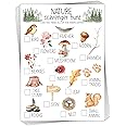Amazon.com: bxtala 30 Pcs Nature Scavenger Hunt Cards, Find and Seek ...