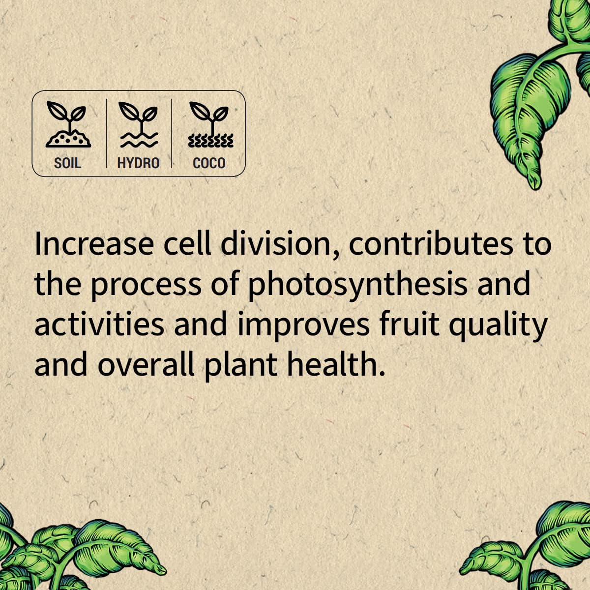 Mua Xpert Nutrients Cal-Mag Amino Liquid Calcium and Magnesium Fertiliser (1 Litre) Corrects ...