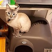 Omega Paw Roll N Clean Self Cleaning Litter Box, Large: Amazon.ca: Pet ...