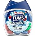 Amazon.com: Tums Chewy Bites Fast Cooling Sensation Antacid, Fruit ...