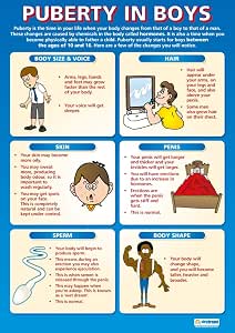 Amazon.com: Puberty in Boys | PSHE Posters | Laminated Gloss Paper ...
