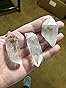 Amazon.com: ONE Pound Small Quartz Rock Crystal Points Healing Stones ...