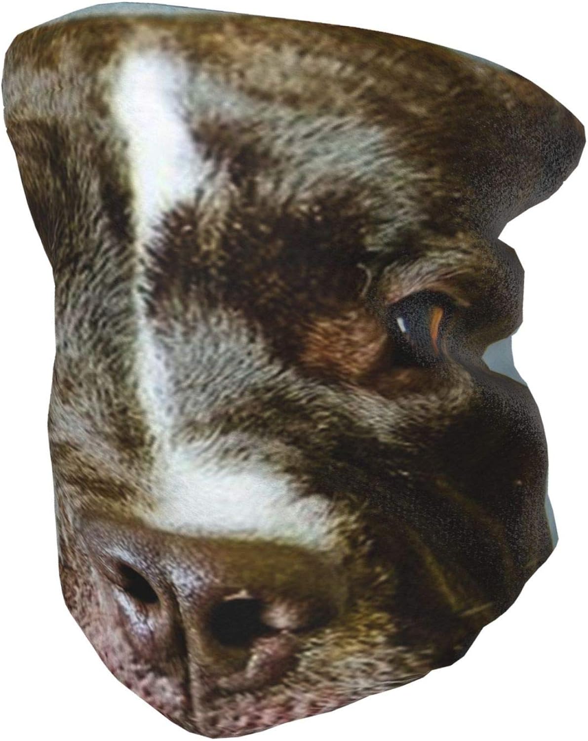 Amazon.com: Kids Balaclava Face Mask, Boys/Girls Cute Pitbull Dog ...