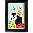 Amazon.com: HWC Trading Dragonball Z Sean Schemmel 16 x 12 inch Framed ...
