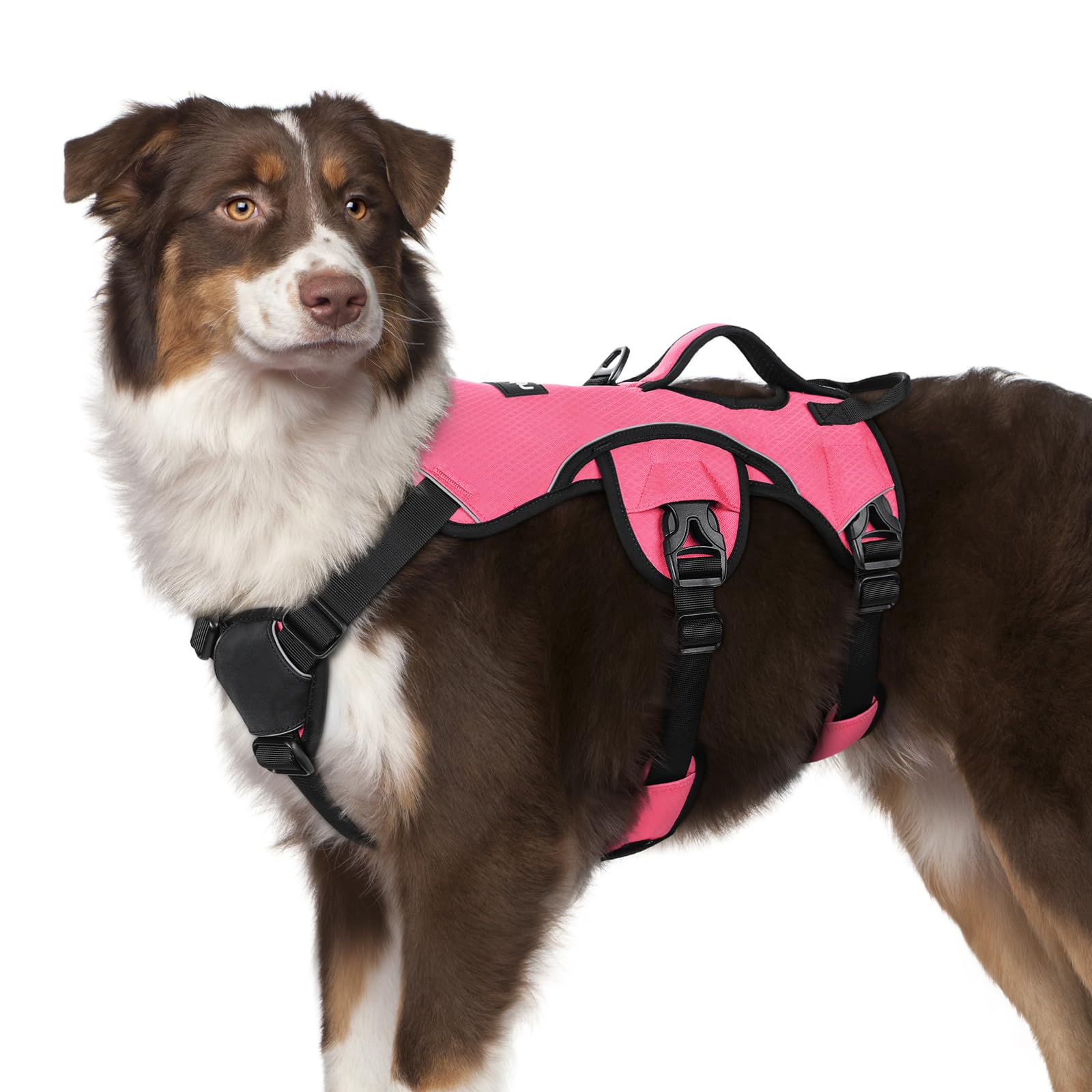 rabbitgoo Escape Proof Dog Harness, Soft Padded Full Body Pet Harness ...
