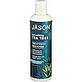 Amazon.com: Jason Natural Cosmetics Tea Tree Oil Shampoo, 17.5 oz ...