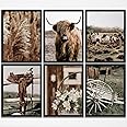 Amazon.com: Vintage Farmhouse Cow Prints - 6PCS Wall Art Set (8x10 inch ...