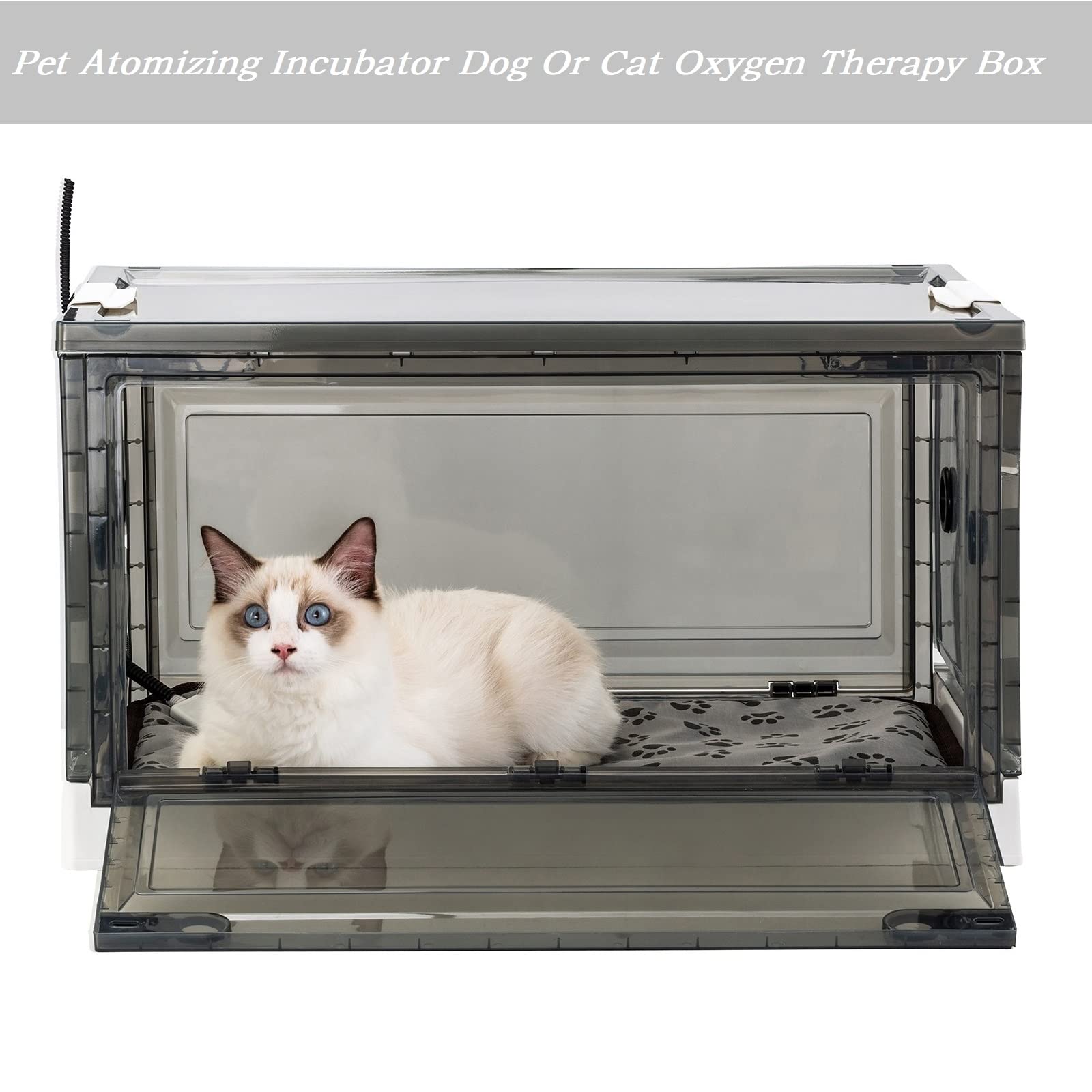 Mua REDDOUDOU Puppy Nebulization Box, Kitten Nebuliser Box Pet ...