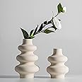 Amazon.com: Steviieden Ceramic Vases Set 2, Modern Dried Flower Vases, Off White Round Vases ...