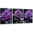 Amazon.com: ARTZGX Purple Rose Canvas Wall Art 3 Piece Flower Pictures ...