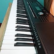 Roland EX-20 Arranger Keyboard: Amazon.in: Electronics