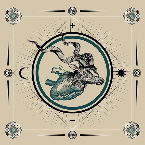 Cold: Amazon.co.uk: CDs & Vinyl