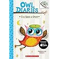 Amazon.com: Eva Sees a Ghost: A Branches Book (Owl Diaries #2 ...