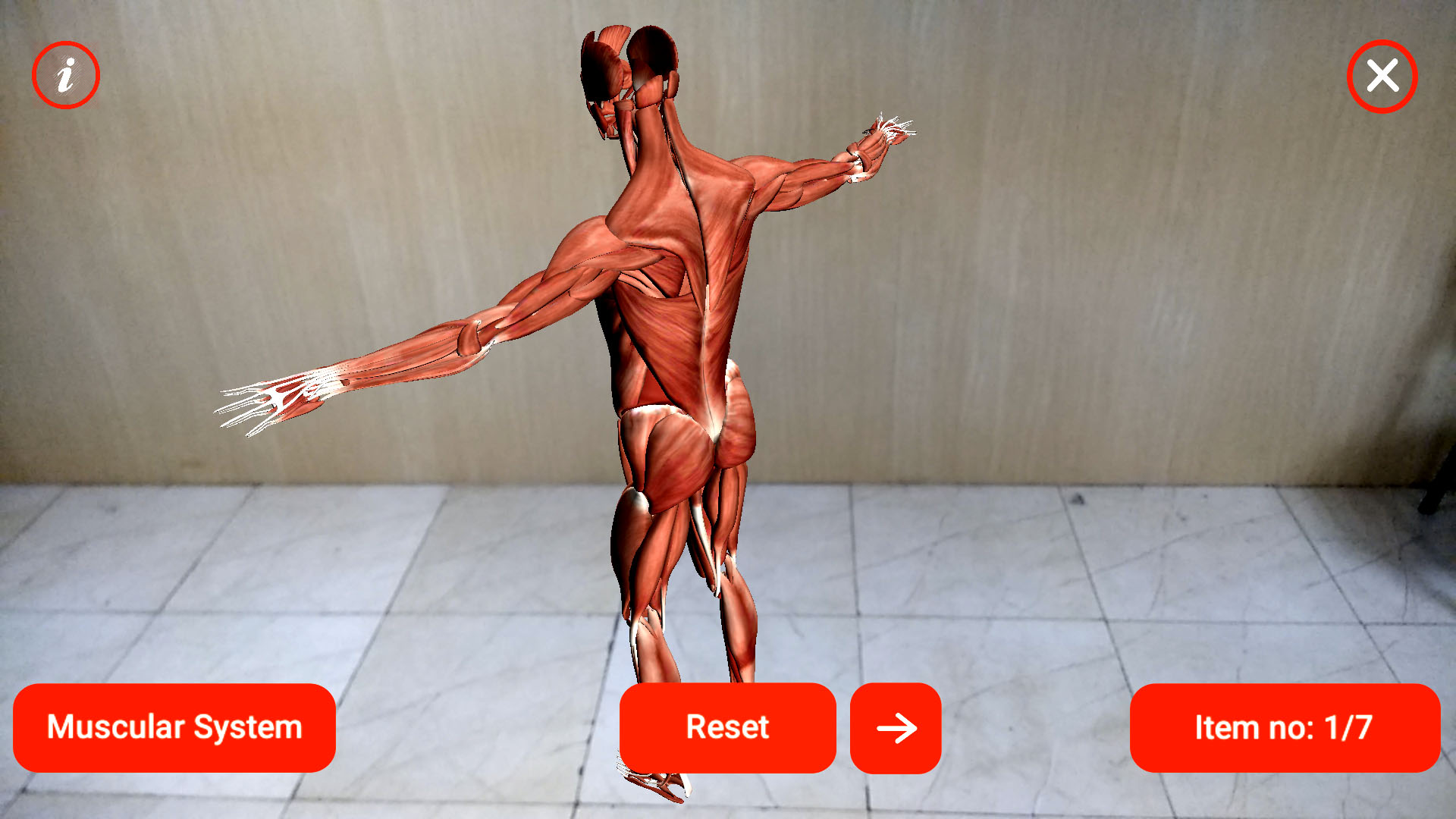 AR Human Organs:Amazon.com:Appstore for Android