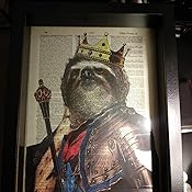 Amazon.com: The King of the Sloths With Crown, Robes, Armor, and ...