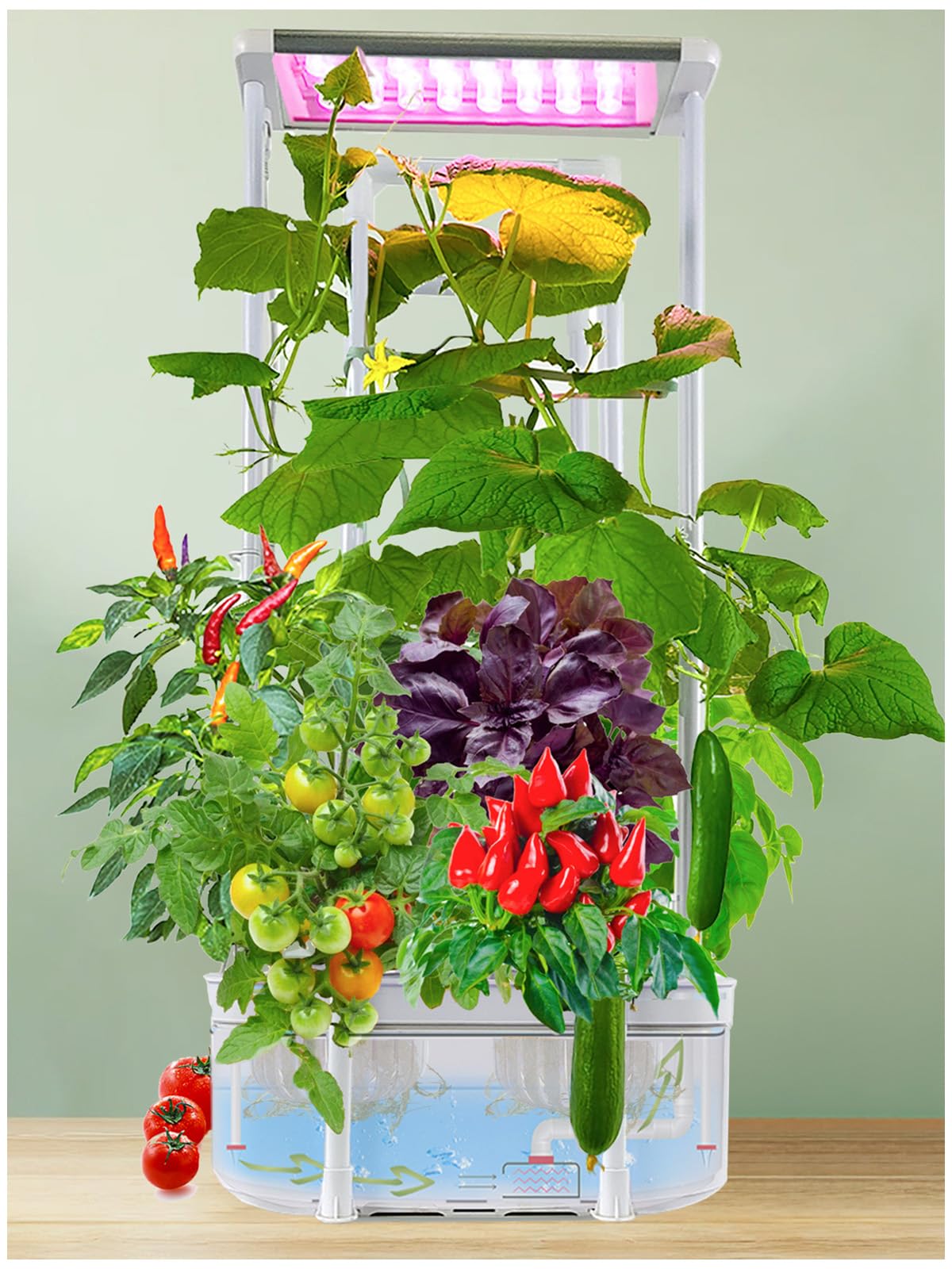 Hydroponics Growing System kit with Trellis,Smart Hydroponic Gardening System with LED Grow ...