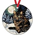 Amazon.com: Chirstmas Ornament, Ceramic Ornament for Hanging Decor ...