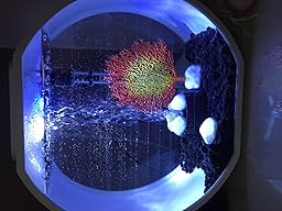 Fish R Fun Deco O Fish Tank White 20L: Amazon.co.uk: Pet Supplies