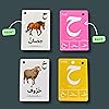 Arabic Alphabet Flash Cards for Kids Toddler and Adults, Arabic First ...