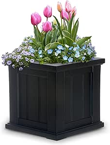 Amazon.com: Mayne 4836B Cape Cod Planter, Black, 14 -Inch : Everything Else