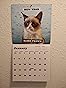 Grumpy Cat 2019 Wall Calendar: Grumpy Cat: 9781452159997: Amazon.com: Books