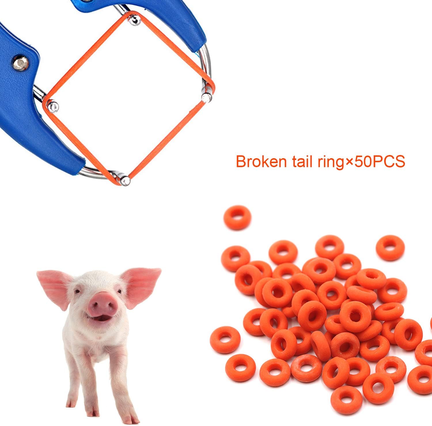 Coolty Pig Castration Pliers Livestock Tail Docking Bloodless Castration Forceps for Cattle ...