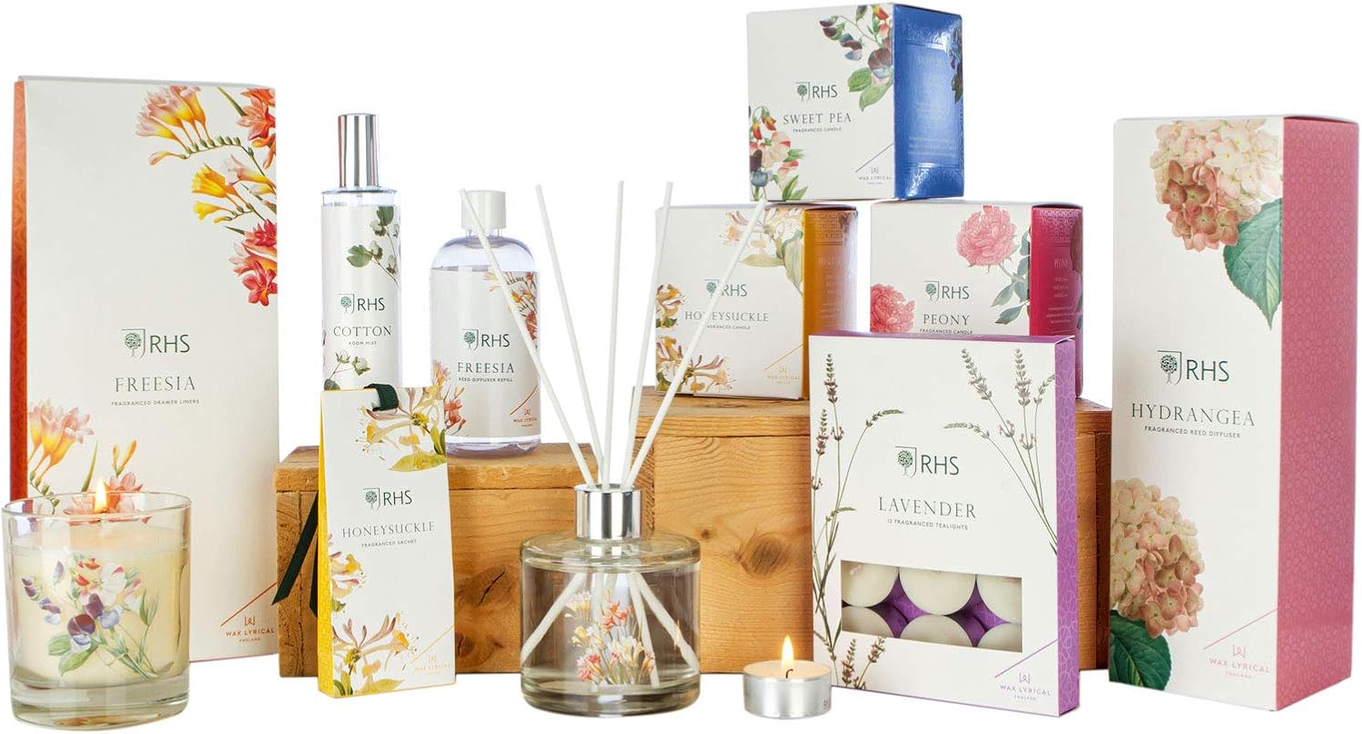 Colony Reed Diffuser 100ml Cotton, Multi, Medium – BigaMart