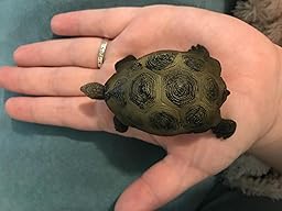 Amazon.com: Schleich Giant Turtle: Toys & Games