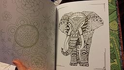 Zencolor: Meditation: 100 Tangles zum Ausmalen & Loslassen: Amazon.de ...