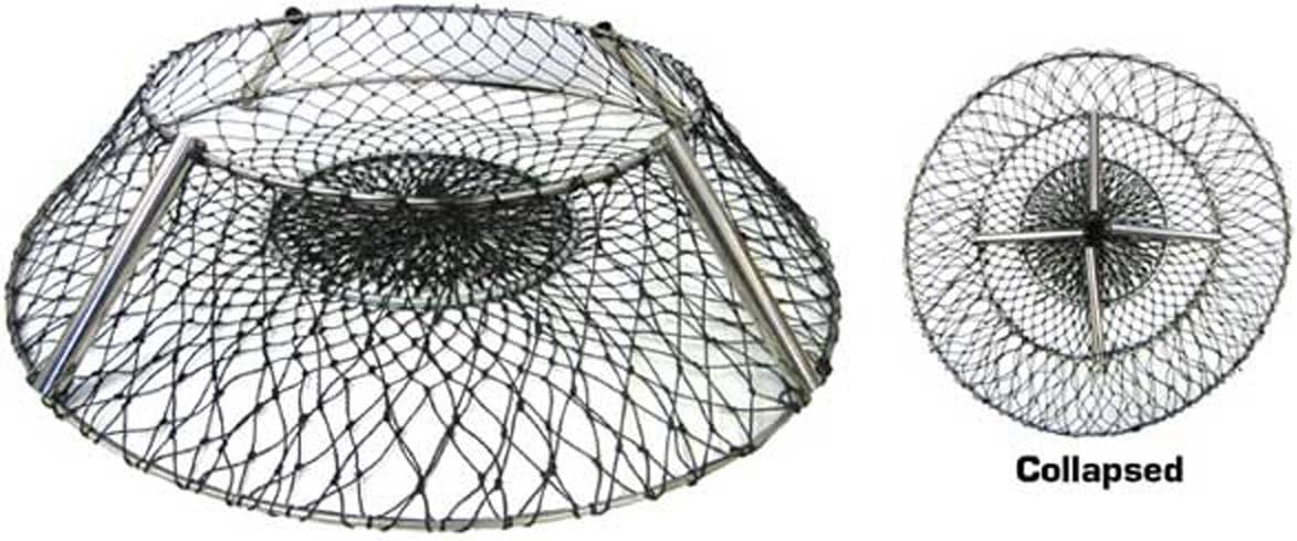 Amazon.com : Promar 36-Inch Eclipse Hoop Net : Fishing Bait Traps ...
