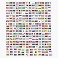 Amazon.com - Flags of The Countries of The World 287 Flag International ...