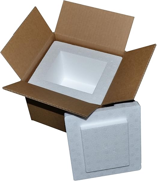 Amazon.com : 8 X 7 X 6" Insulated Styrofoam Shipping Cooler (1 Cooler ...
